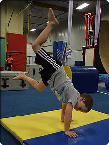 Ninja Classes | SGA Ninjas Website